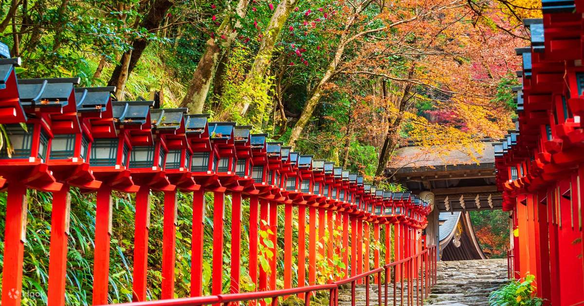 [Kyoto] Tour di un giorno al tempio Sanzen-in, al santuario Kifune, al ...
